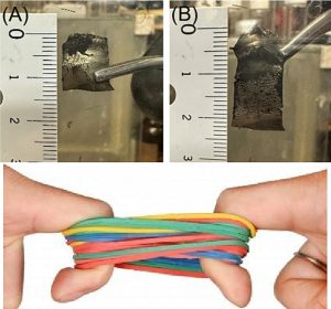 Publications – The Veige Research Group